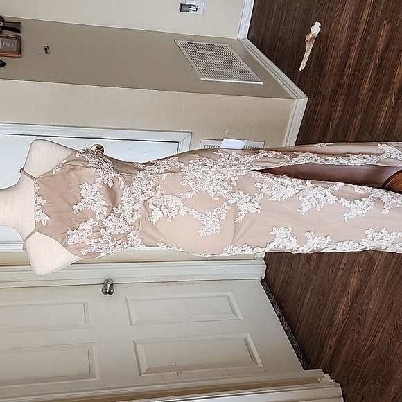 Lulus | Dresses | Lulus Dazzled Up Champagne Floral Embroidered Formal ...